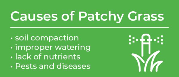 Reviving Your Patchy Lawn: Tips for Effective Lawn Repair