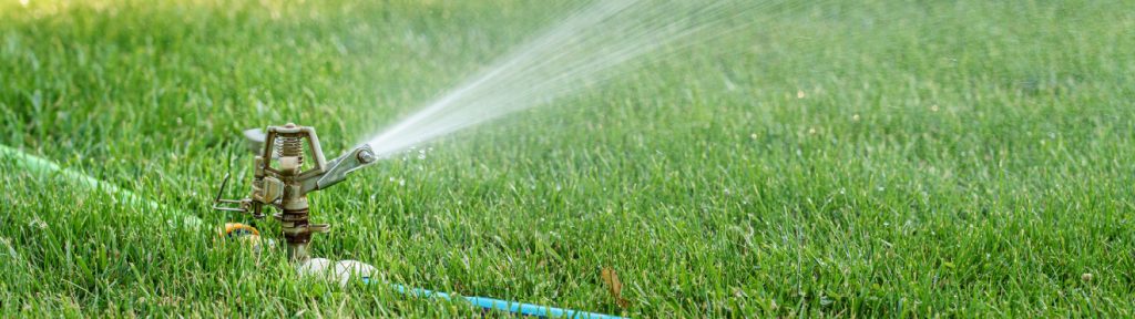 Revive Patchy Lawn: Effective Lawn Repair Tips - Andrews Turf Supplies