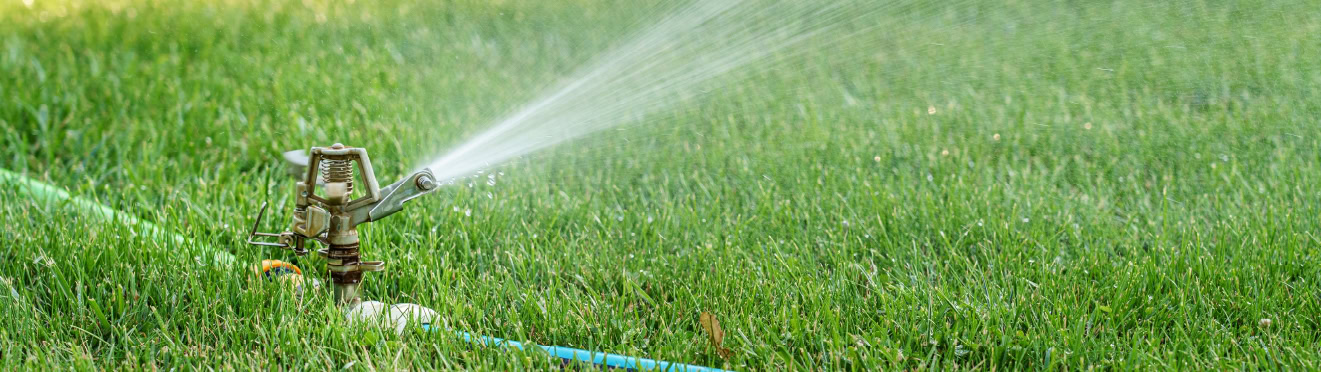 Revive Patchy Lawn: Effective Lawn Repair Tips - Andrews Turf Supplies