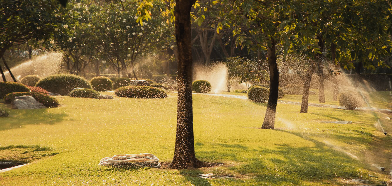 Expert Watering Tips for A Luscious Lawn Year-Round