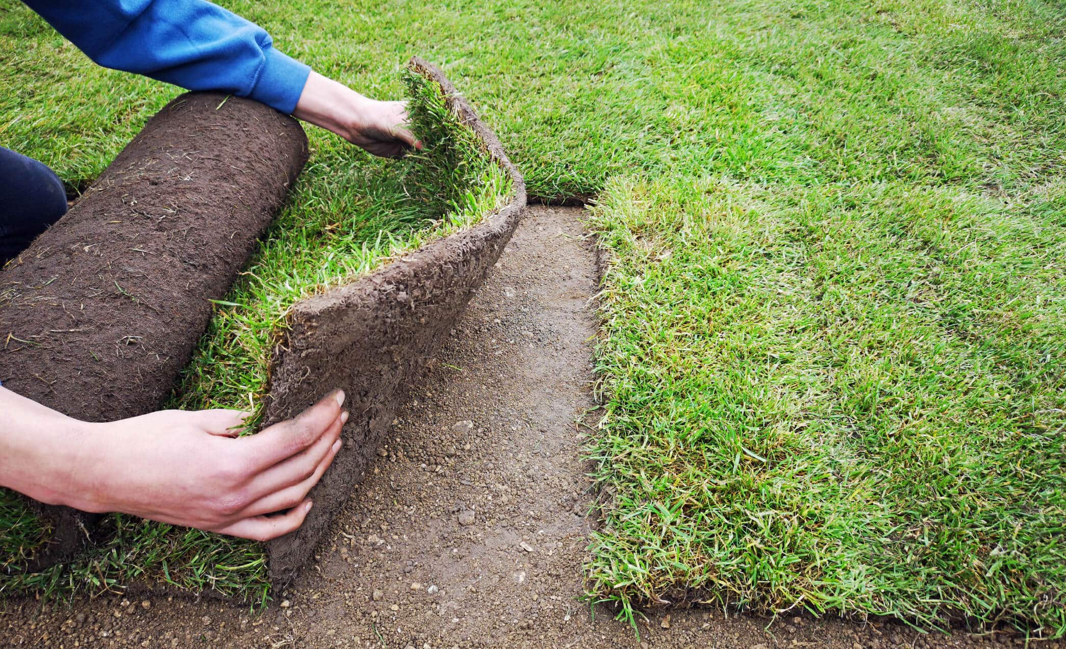 The Art Of Turf Laying: Secrets To A Beautiful, Healthy Lawn