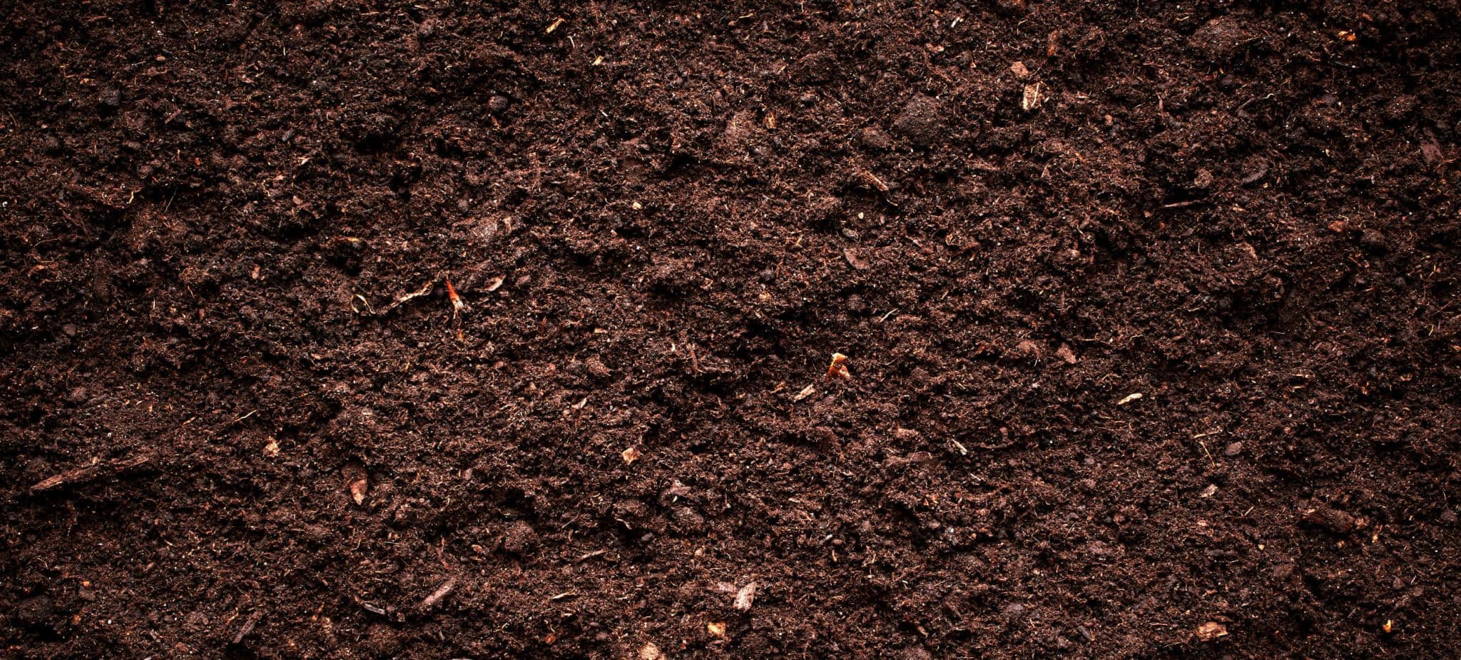 The Art Of Turf Laying: Secrets To A Beautiful, Healthy Lawn